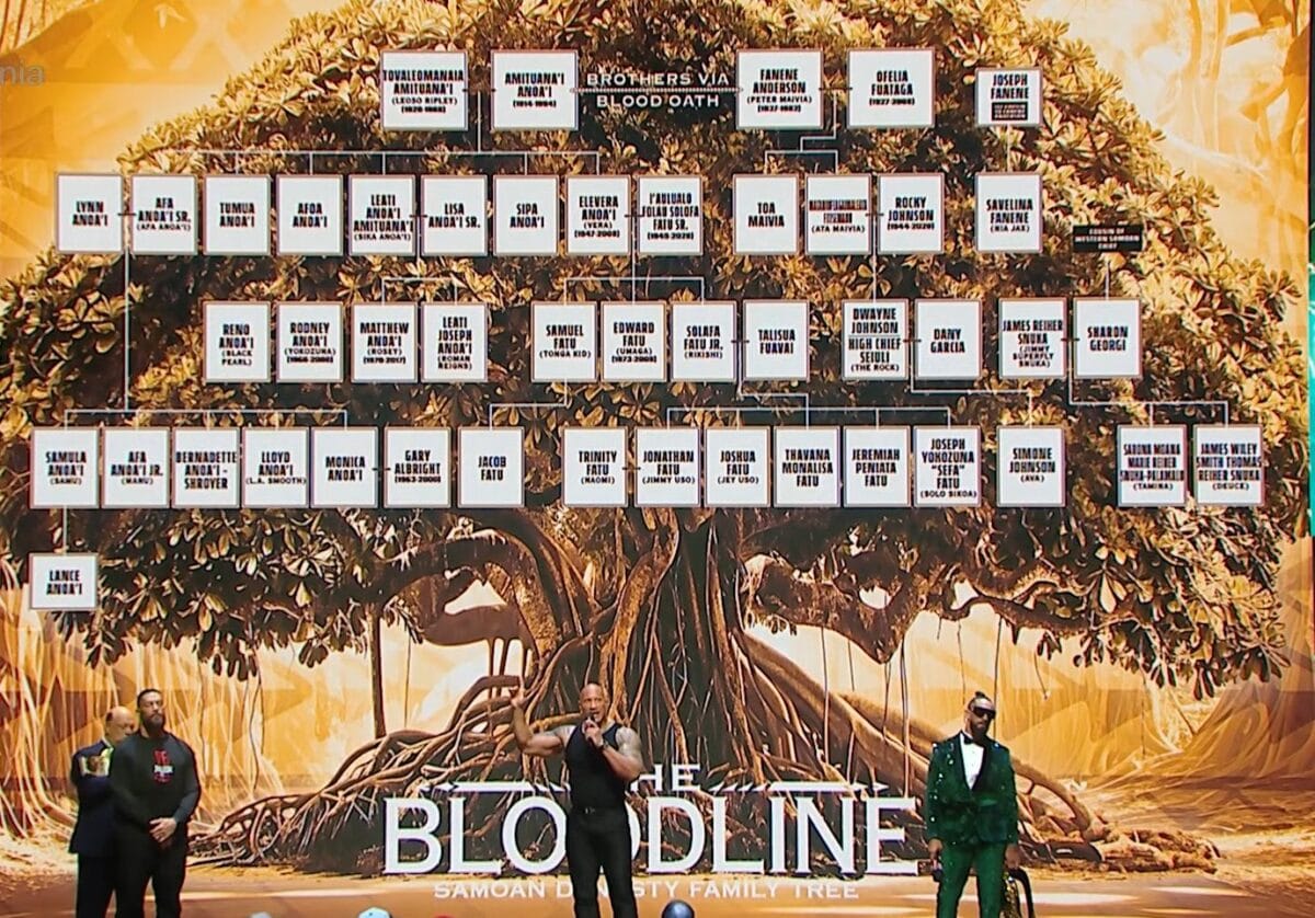 Top four reasons why The Rock turned heel at WWE WrestleMania 40 ...