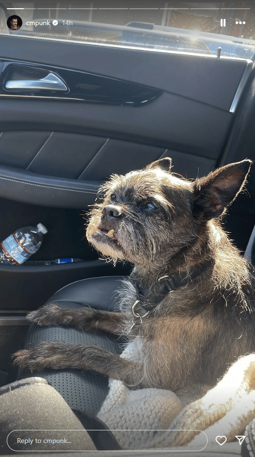 In Pictures: CM Punk & Larry meet WWE stars backstage on RAW