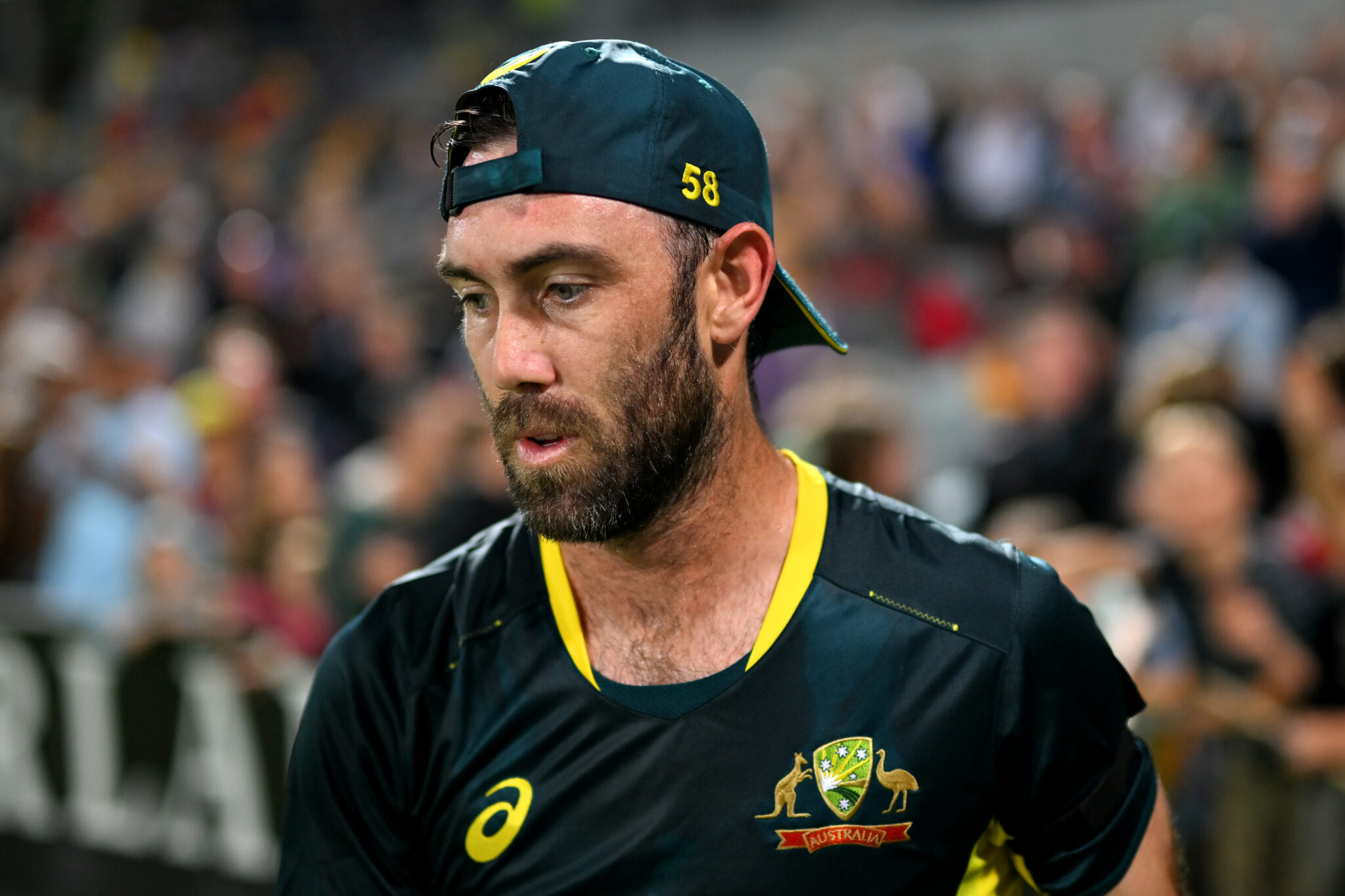 Why are Steve Smith and Glenn Maxwell not included in Australia's ODI ...