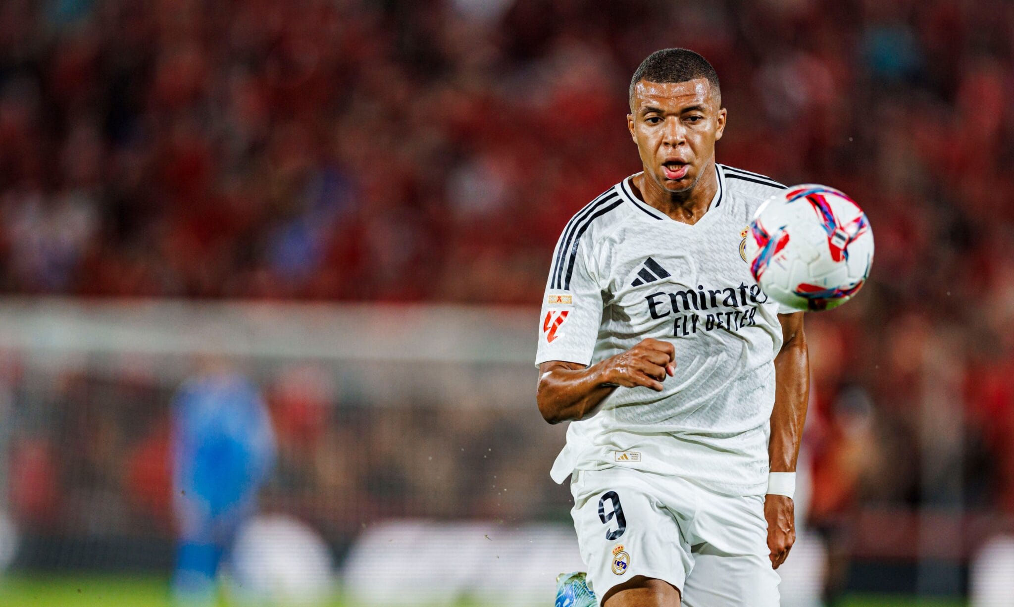 Bokep korea no sendor