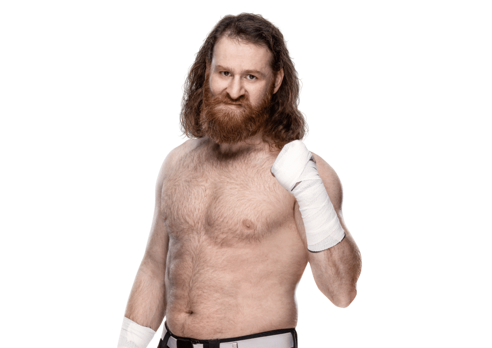 Sami Zayn Profile - Latest News of Sami Zayn | Stats & Career Info